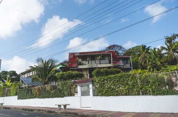 Posada Nativa Miss Trinie - San Andrés
