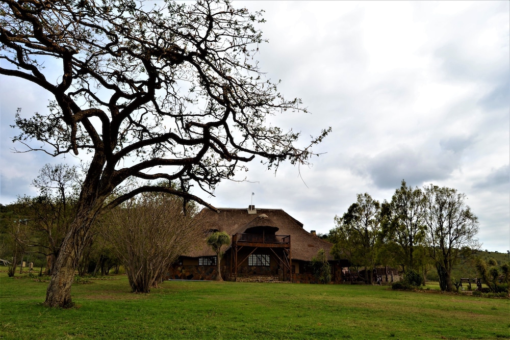 Amaka Private Game Reserve And Safaris - Colenso