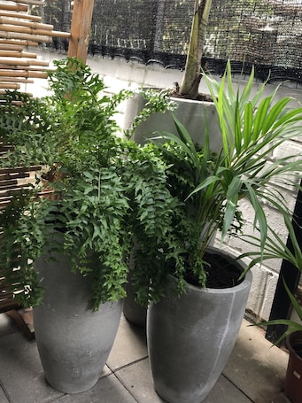 Quarto Triplo Deluxe, 1 quarto, não fumadores, vista para o pÔtio | Vista do quarto