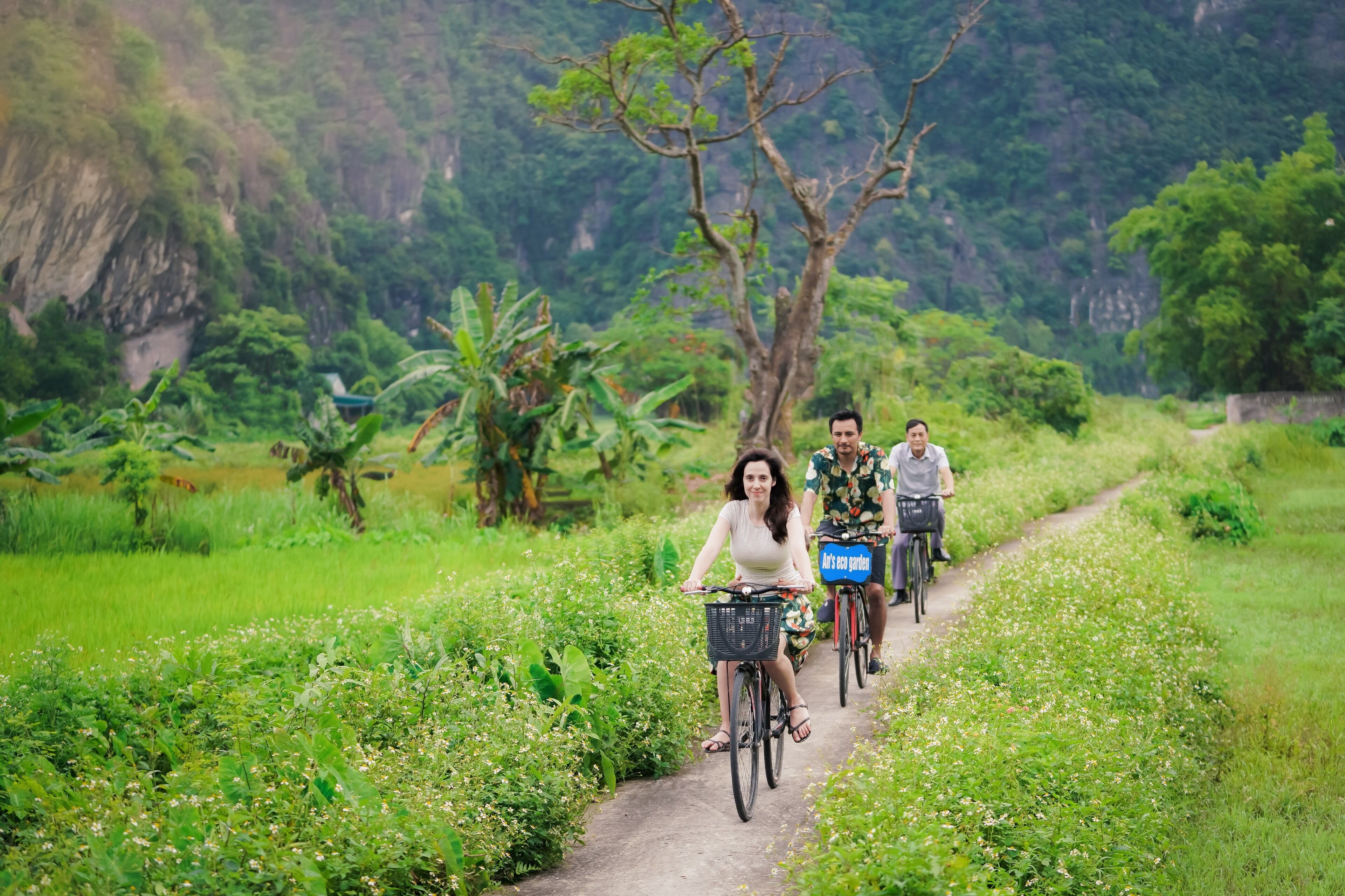 Caminho em área verde exuberante, com árvores e vegetação em ambos os lados.