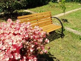 Um banco de madeira com apoios de braço de metal num parque.