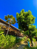 Pequenos-almoços, almoços e jantares servidos 