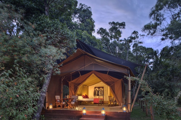 Barraca superluxo | Cofres nos quartos, berços grátis, roupa de cama