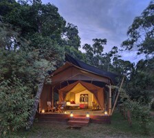 Tenda de Luxo | Cofre no quarto, berços/camas para crianças grátis 