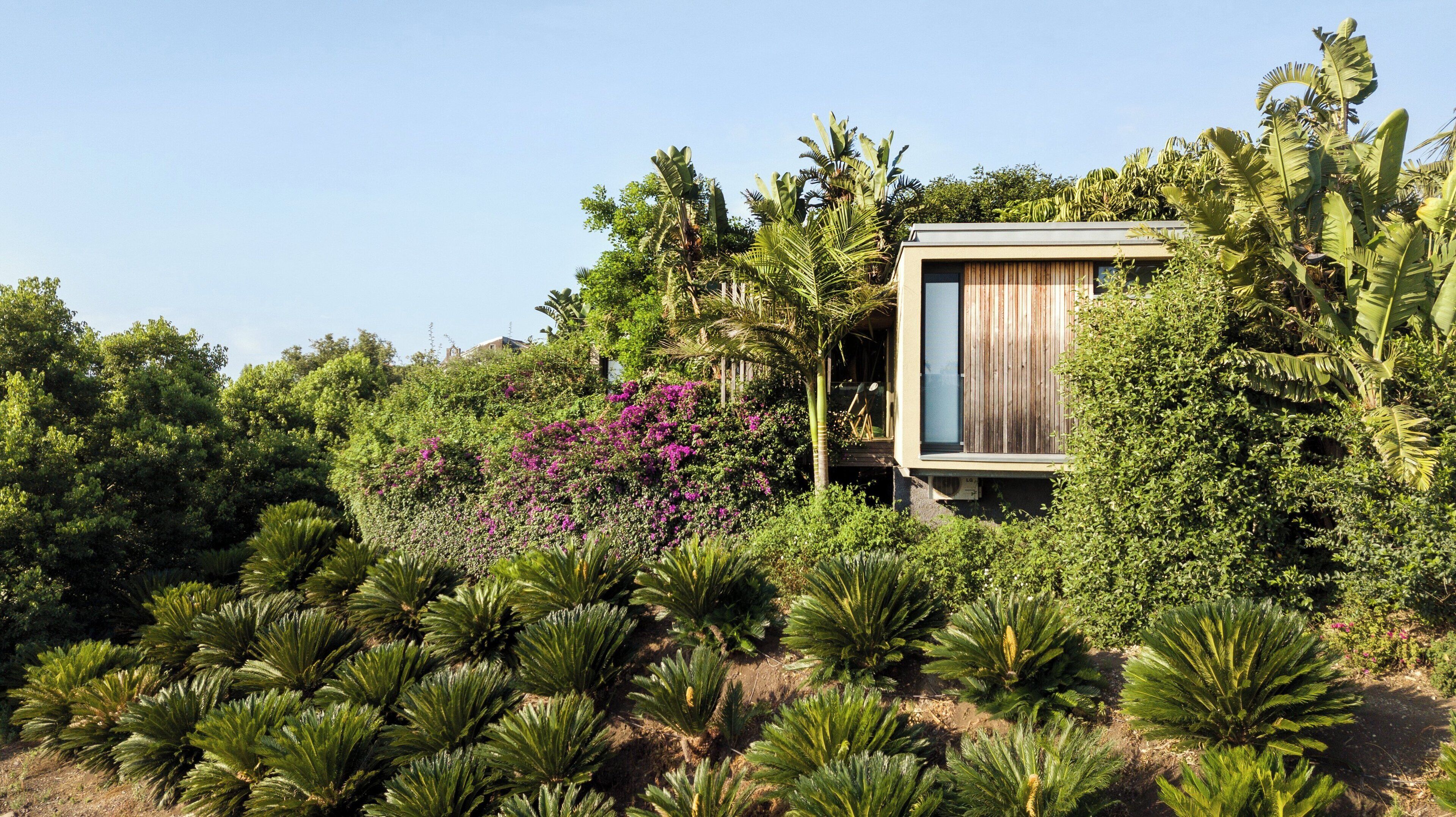 Uma casa moderna com uma grande janela, rodeada por vegetação exuberante e plantas tropicais.