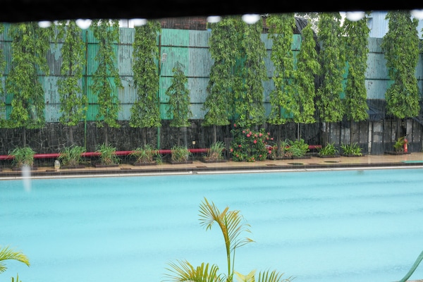 Piscina exterior, espreguiçadeiras