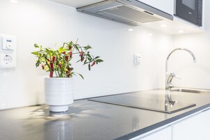 Estúdio (Medium) | Cortinas/cortinados opacos, ferro/tábua de engomar, Wi-fi grátis 