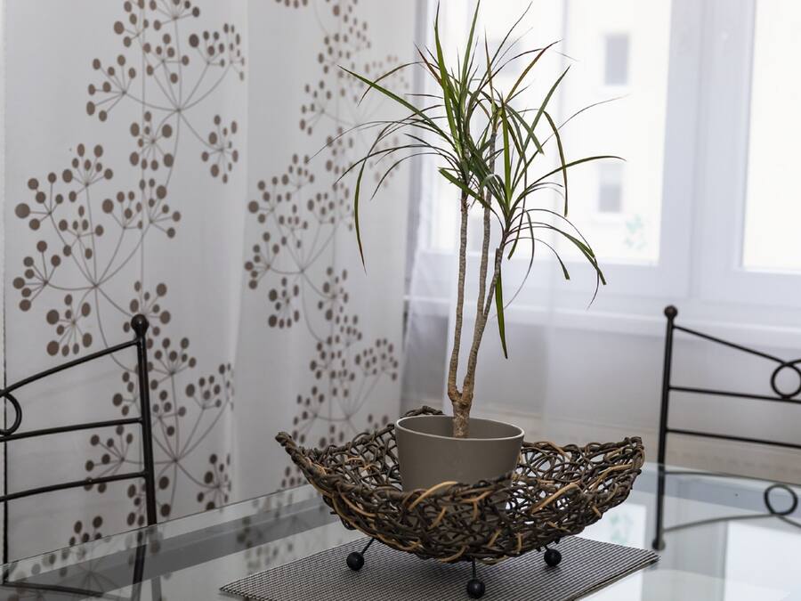 Apartamento Familiar, 1 quarto, varanda | Refeições no quarto