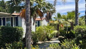 Um jardim tropical com palmeiras, uma casa branca e um caminho de cascalho.