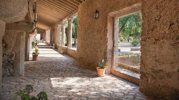 Um corredor com paredes de pedra, vigas de madeira e plantas em vasos.