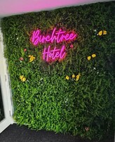 Parede com um letreiro de neon que diz "Buchtree Hotel", rodeada por folhagem verde e flores amarelas.
