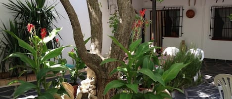 Terraço/pátio interior