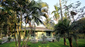 Uma casa rodeada por vegetação exuberante e palmeiras.