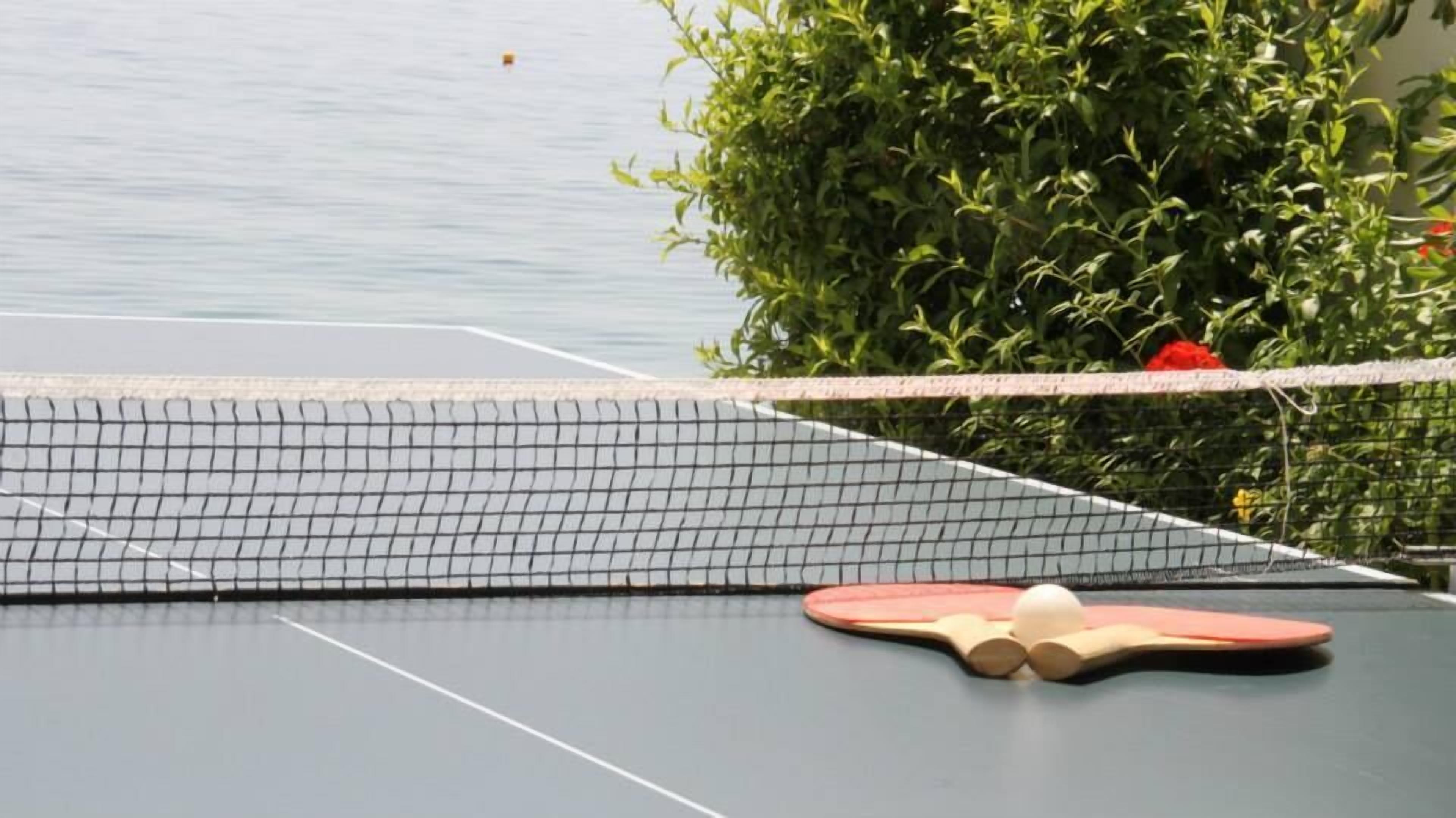 Uma mesa de ténis com rede no centro, rodeada por vegetação.