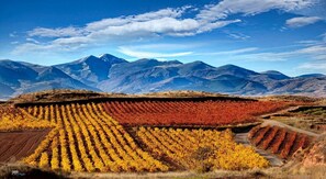 Vista da propriedade