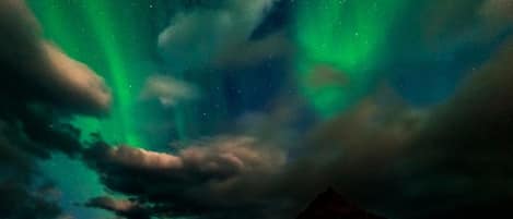 Check-in e check-out automático