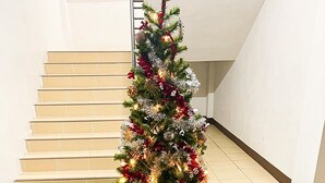 Árvore de Natal com luzes e enfeites sobre um tapete verde, rodeada por presentes embrulhados.