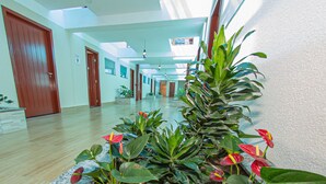 Um corredor amplo com piso de madeira, claraboia e plantas em vasos.