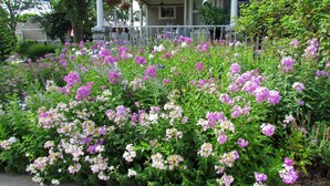 Um jardim com diversas flores em frente a uma casa com varanda.