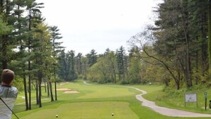 Um campo de golfe com um caminho bem definido, árvores e um mastro de sinalização.