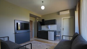 Um espaço compacto com cozinha compacta, sofá e área de refeições.