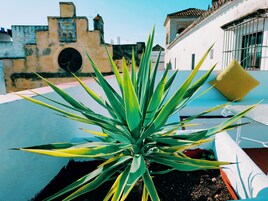 Terraço/pátio interior