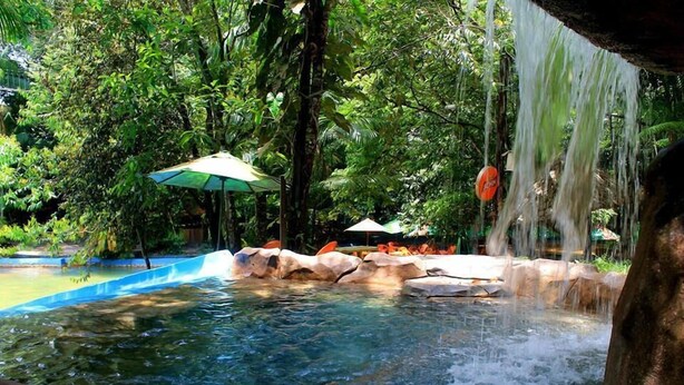 Uma área de piscina ao ar livre tranquila, com uma cascata, rodeada por vegetação exuberante e protegida por guarda-sóis.