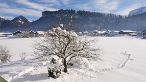 Paisagem nevada com céu claro, uma árvore coberta de neve e um caminho que leva a uma cerca de madeira.
