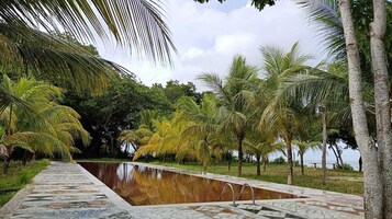 Uma área de piscina com um caminho de azulejos, rodeada por palmeiras e vegetação.