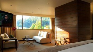 Quarto de hotel com uma cama grande, um sofá, uma mesinha e uma televisão. Há uma janela com vista para árvores.