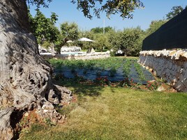 Um jardim com muro de pedra, uma árvore grande e área de piscina com espreguiçadeiras.