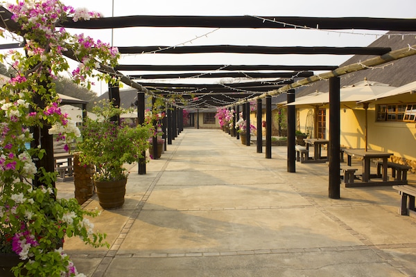 Terraço/pátio