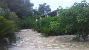 Uma trilha de pedra serpenteia por um jardim com diversas plantas e um edifício ao fundo.