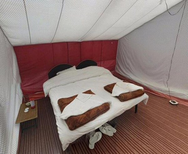 Golden Mark Camp - Himachal Pradesh