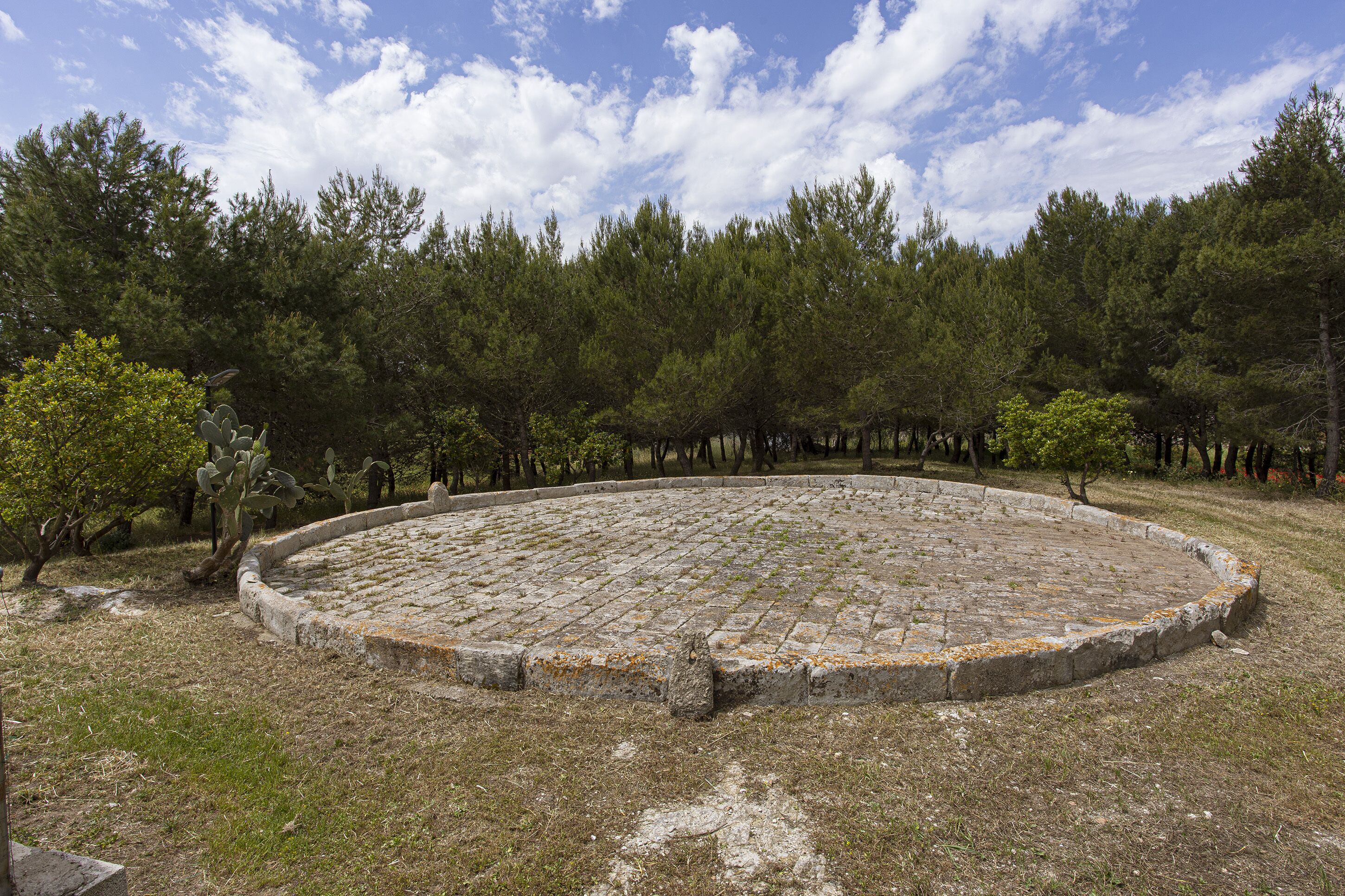 Uma praça circular de pedra, rodeada por árvores.