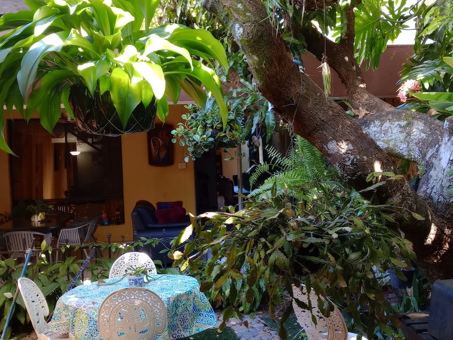 Fachada