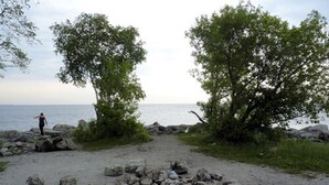 Um caminho de cascalho leva a uma praia, com uma pessoa parada perto da água.