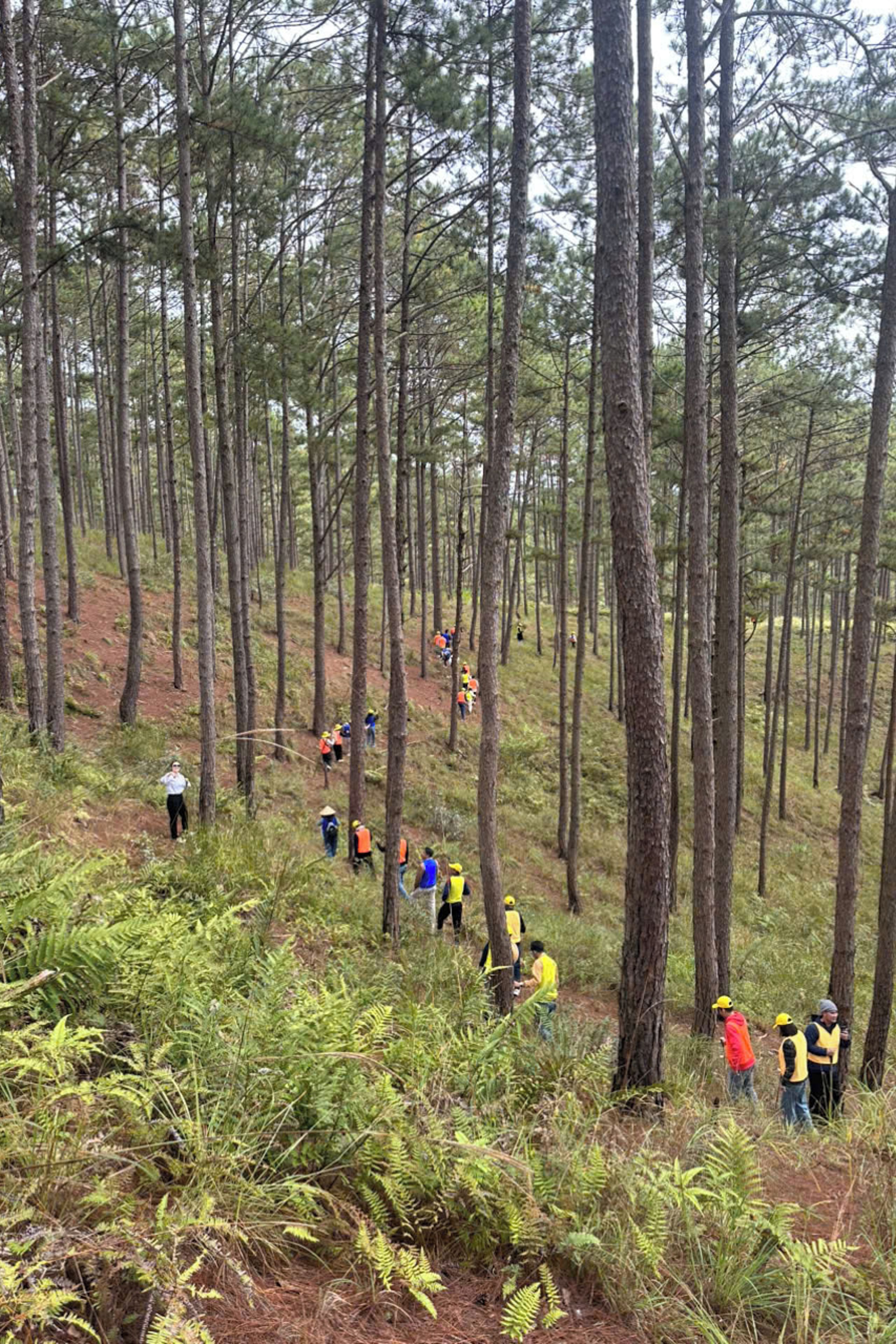 Uma área arborizada com pessoas usando coletes refletivos e capacetes, indicando uma atividade guiada ou trabalho.
