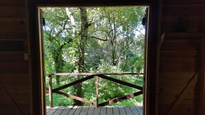 Um deck de madeira com guarda-corpo de metal que dá acesso a uma área arborizada.