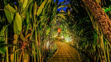 Jardim