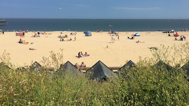 Uma praia com tendas e pessoas.
