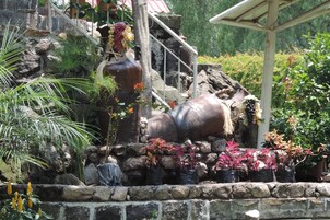 Jardim