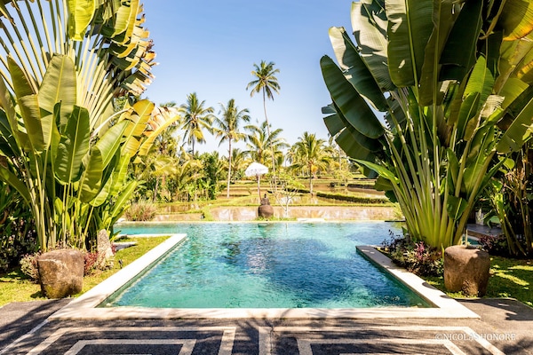 Piscina externa
