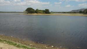 Um lago tranquilo com margem arenosa e uma pequena ilha com árvores.
