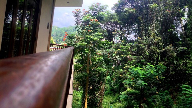 Uma varanda com vista para vegetação tropical exuberante e uma montanha ao longe.