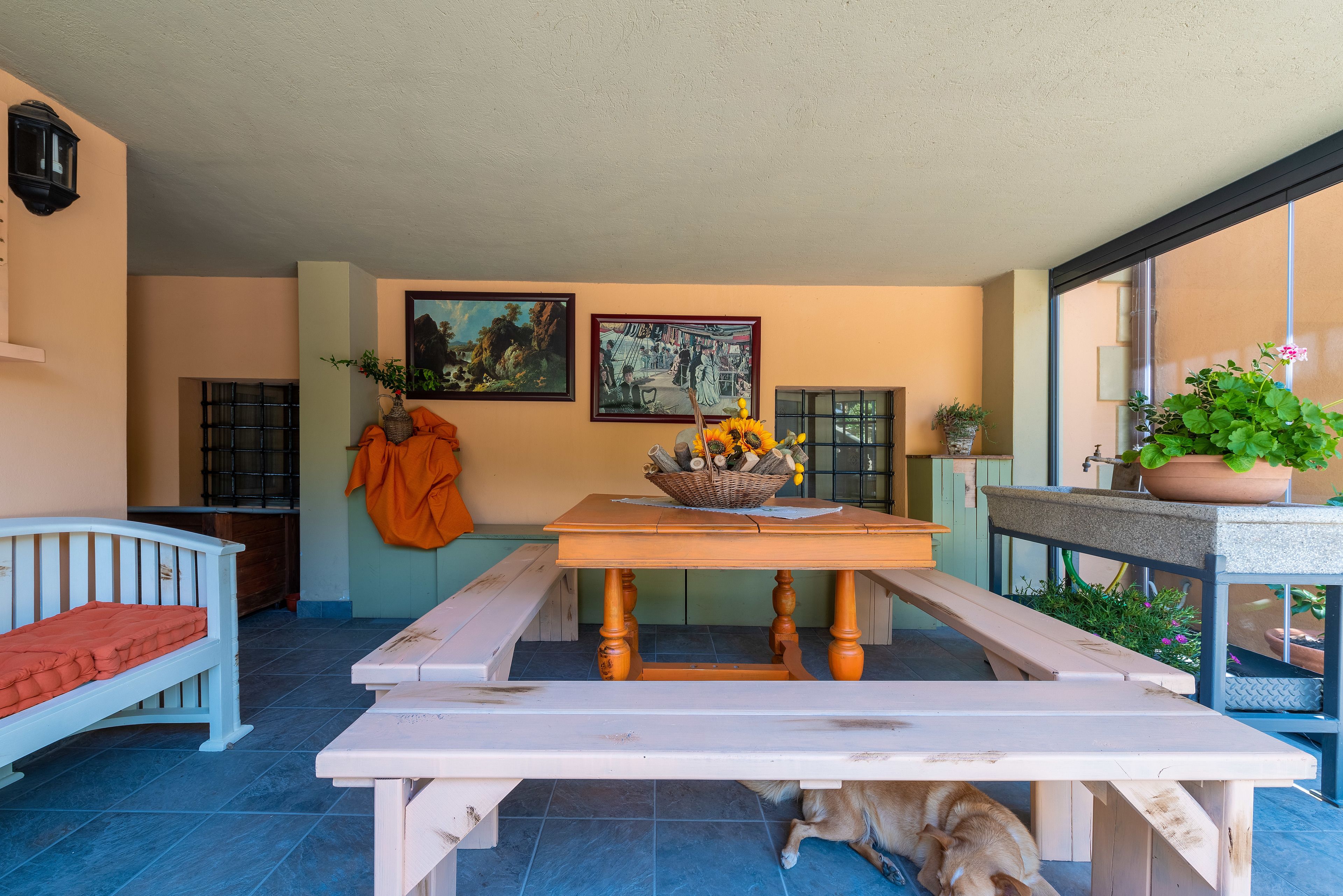 Um pátio com mesa de madeira, bancos e um cão descansando sob a mesa. Há plantas em vasos e uma moldura na parede.