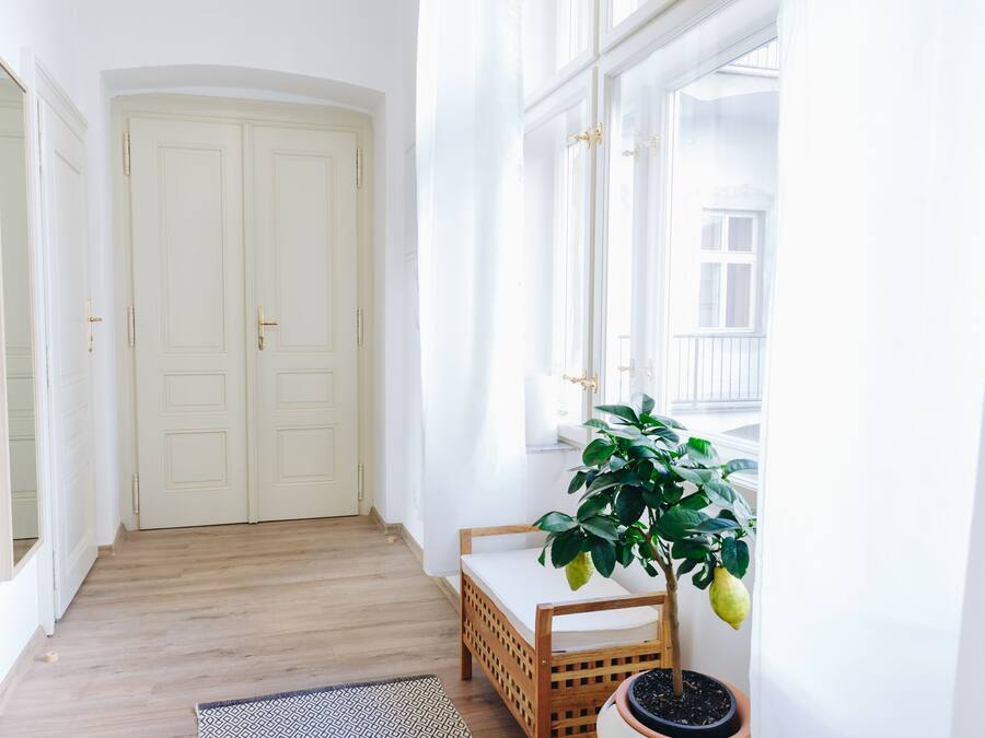 Roupas de cama premium, frigobar, individualmente decorados