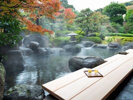 Jardim japonês