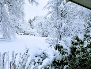 Passeios com raquetes de neve