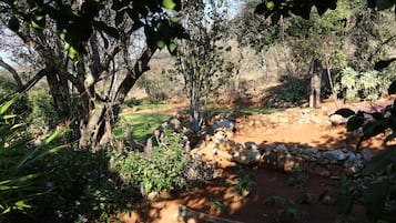 Jardim